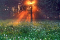 The First Rays Of The Rising Sun Stock Photography - Image: 25561182