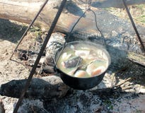 Cooking Fish Over Open Fire Stock Photo - Image: 25201126