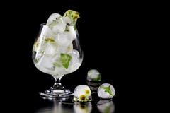 Frozen Ice Flowers Royalty Free Stock Image - Image: 22850316