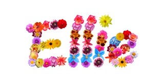 Ellie Stock Illustrations – 17 Ellie Stock Illustrations, Vectors ...