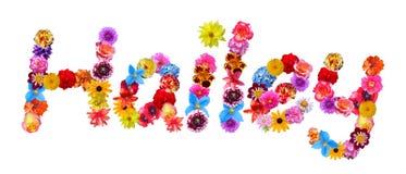 Hailey Name Lettering Tinsels Stock Vector - Illustration of letter ...