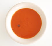 Fly In Soup Royalty Free Stock Image - Image: 22035056