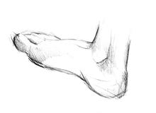 Drawing of left human foot stock illustration. Illustration of calf ...