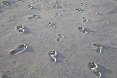 Multiple Footprints On Sand Stock Image - Image of blue, summer: 1822895