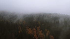 Forest haze stock photo. Image of stillness, mountains - 2326092