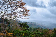 Forest haze stock photo. Image of stillness, mountains - 2326092
