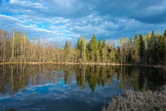 Evening Forest With Sun And Light Stock Photo - Image: 39871200
