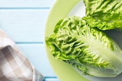 Single Lettuce Leaf On A Plate Royalty Free Stock Photo - Image: 5822335