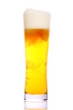 Pint of Beer stock photo. Image of light, spilt, drink - 4075672