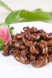 China Delicious Food--fried Cicada Stock Image - Image of cooking, cook ...