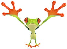 Frog With A Question Mark Royalty Free Stock Images - Image: 12710559