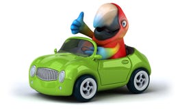 Parrot driving a car stock image. Image of bird, entertainment - 10993581