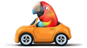 Parrot driving a car stock image. Image of bird, entertainment - 10993581