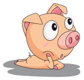 Confused Pig Stock Photos - Image: 15697813