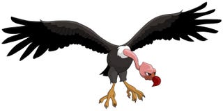 Geier Stock Illustrationen, Vektors, & Klipart – (1,205 Stock ...