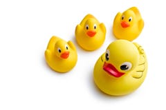 Gelbe Quietscheentchen stockbild. Bild von ducky, familie - 33241559