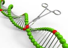 Agricultural Research/Genetic Manipulation Stock Photo - Image of ...