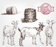 Pencil Drawing Of Doll Stock Photos - Image: 28470423