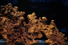 Gold ore stock image. Image of stone, russia, ingot, pour - 19658503