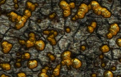 Raw Gold Ore Stock Photos, Images, & Pictures - 330 Images