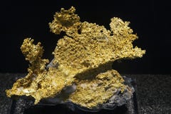 Golderz stockfoto. Bild von mineral, proben, gold, frech - 40937744