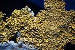 Golderz stockfoto. Bild von mineral, proben, gold, frech - 40937744