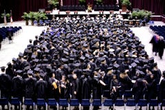 Graduation vector stock vector. Illustration of celebration - 8141479