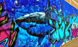 Shark graffiti editorial image. Image of color, door - 38998530