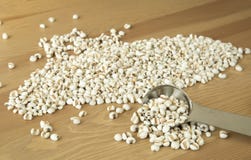 Adlay, Adlay Millet, Job's Tears, Millet (Coix Lachryma-jobi. L ...