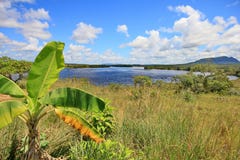 Waterfalls, Canaima, Venezuela Stock Photo - Image of heritage ...
