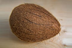 Coco peludo foto de stock. Imagem de textura, baixo, marrom - 17418134