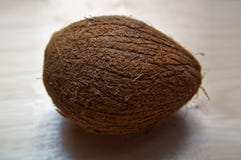 Coco peludo foto de stock. Imagem de textura, baixo, marrom - 17418134