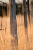 Wodden Posts With Metal Wire Fence In Cattle Field Stock Photo - Image ...