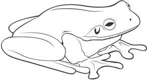 Groda vektor illustrationer. Illustration av däggdjur - 1410267