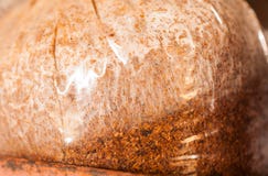 Mycelium Stock Images - Download 5,989 Royalty Free Photos