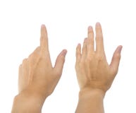Hand Poses Stock Image - Image: 8395661