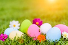 Colorful Easter Eggs In A Field Of Grass Stock Photo - Image of april ...