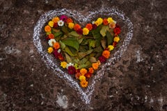 Spring Flowers In The Shape Of Heart Royalty Free Stock Photos - Image ...