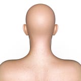 Delen Van Het Hoofd Stock Illustrations, Vectors, & Clipart – (545 ...