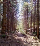 Mount Parnitha National Park - Chounis Gorge - View Of Northern Athens ...