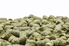 Hops Pellets Used For Brewing Beer Stock Image - Image of pressed ...