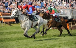 Horse Racing editorial photography. Image of competition - 21559352