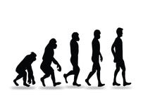 Human Evolution. Man Evolution. Historical Illustrations. Human ...