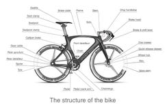 Infographic Of The Structure Of Bike Stock Vector - Illustration of ...
