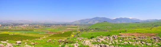 Israel Landscape stock photo. Image of blue, cercis, hermon - 24078962