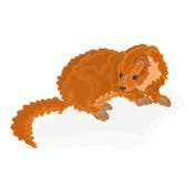 Marder Stock Illustrationen, Vektors, & Klipart – (301 Stock Illustrations)