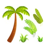 Jungle Grass Stock Illustrations – 6,327 Jungle Grass Stock ...
