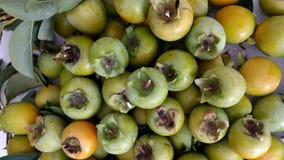 Khaki,fruit,food,organic stock image. Image of bright - 46320947