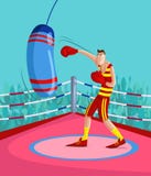 Kickboxing Cartoon Stock Photos, Images, & Pictures - 241 Images