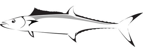 King fish company logo stock vector. Illustration of fish - 11306908